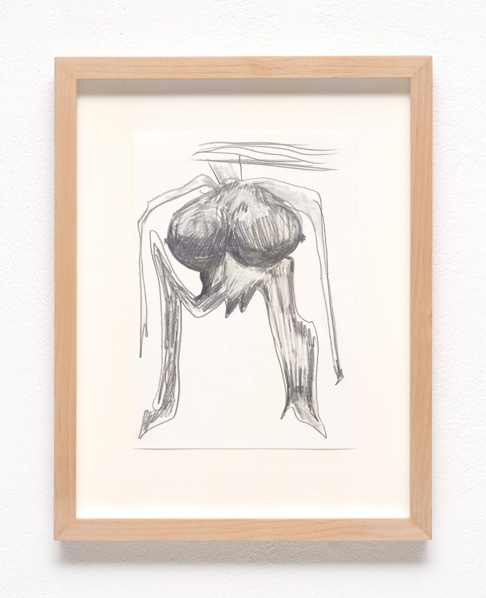 172 grams | 2018-2019 | Drawing and painting series | Alanna Lawley